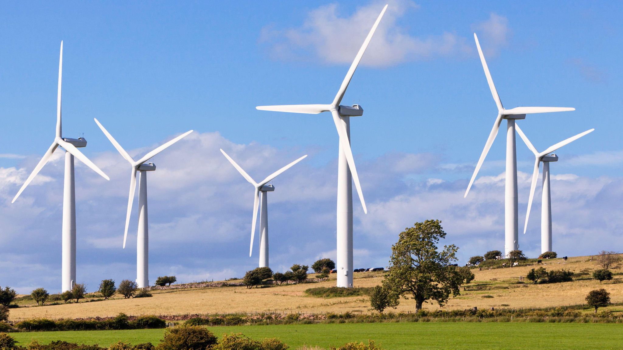 Wind Farms Increase Profits 60% By DOING NOTHING - The Great Climate Con