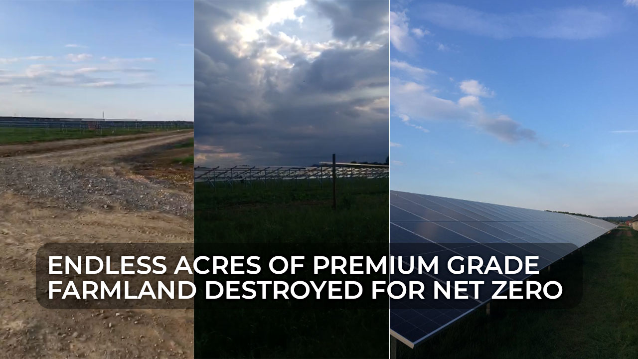 Endless Acres Of Premium Grade Farmland Destroyed For Solar Panels ...